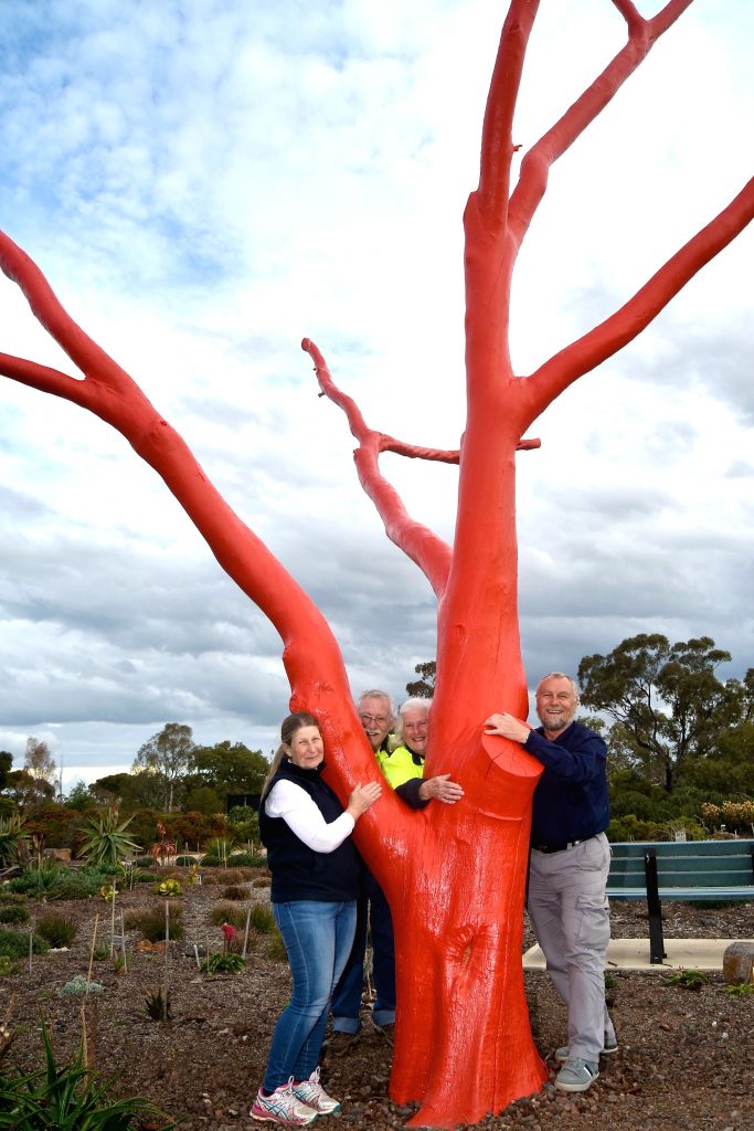 Sugar gum's red reinvention